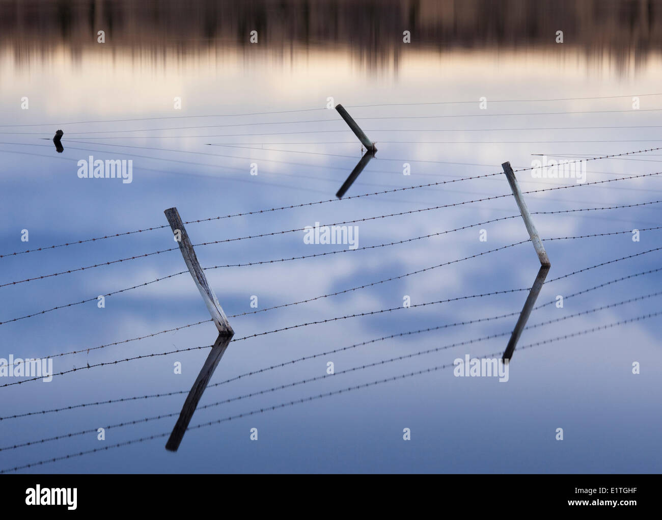 Simpson Field High Resolution Stock Photography and Images - Alamy