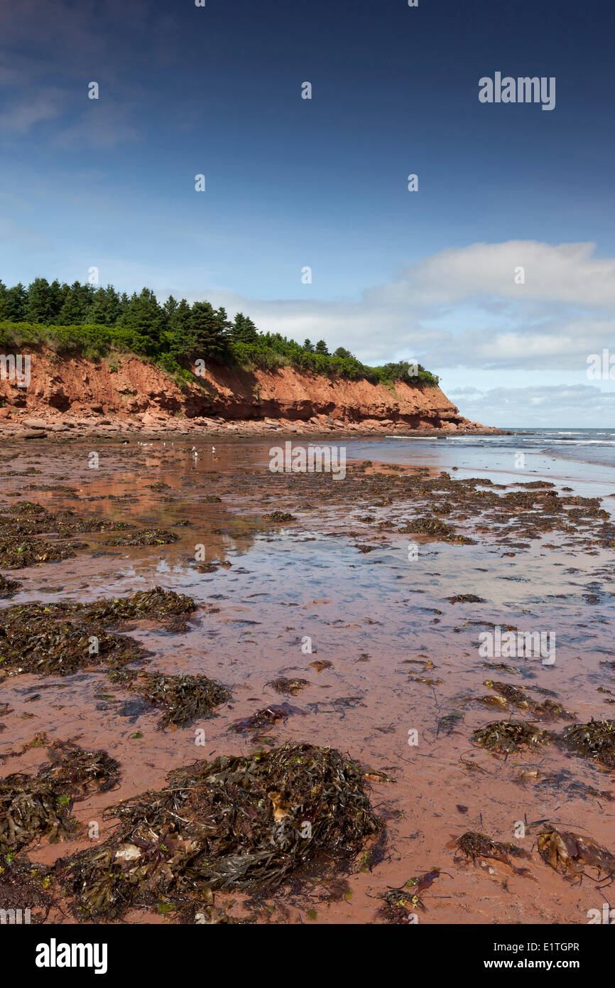 Vertical rustico hi-res stock photography and images - Alamy