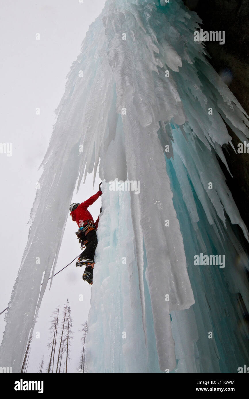 Young man ice-climbing in Banff National Park near Banff, Alberta ...