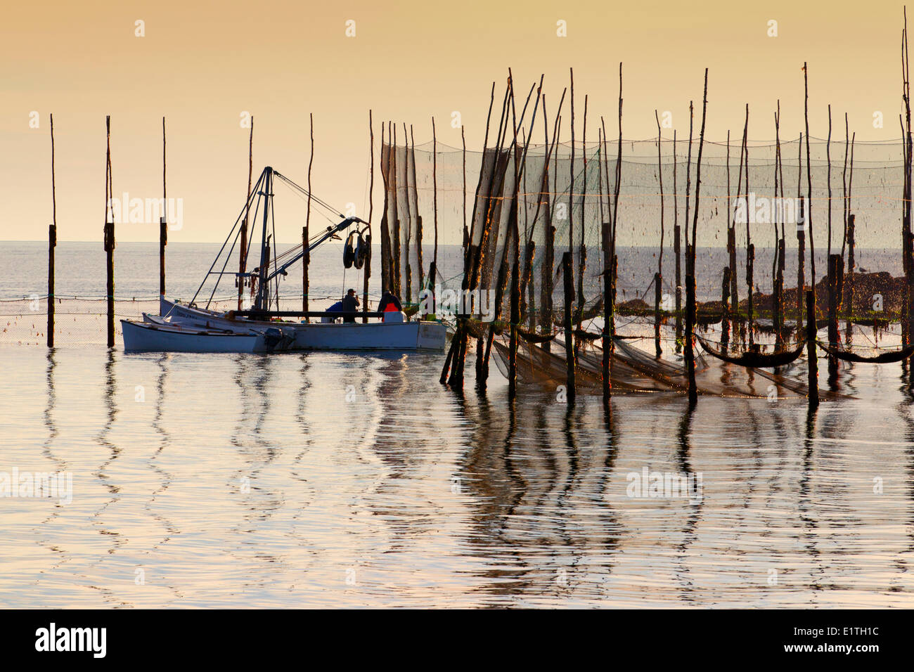 Vessel net hi-res stock photography and images - Alamy
