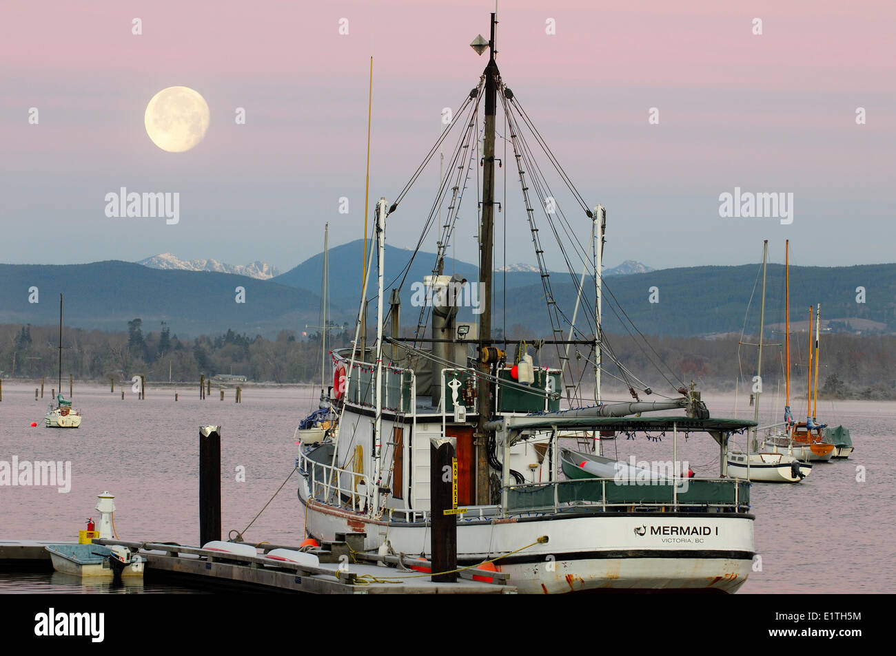 Mermaid1 hi-res stock photography and images - Alamy