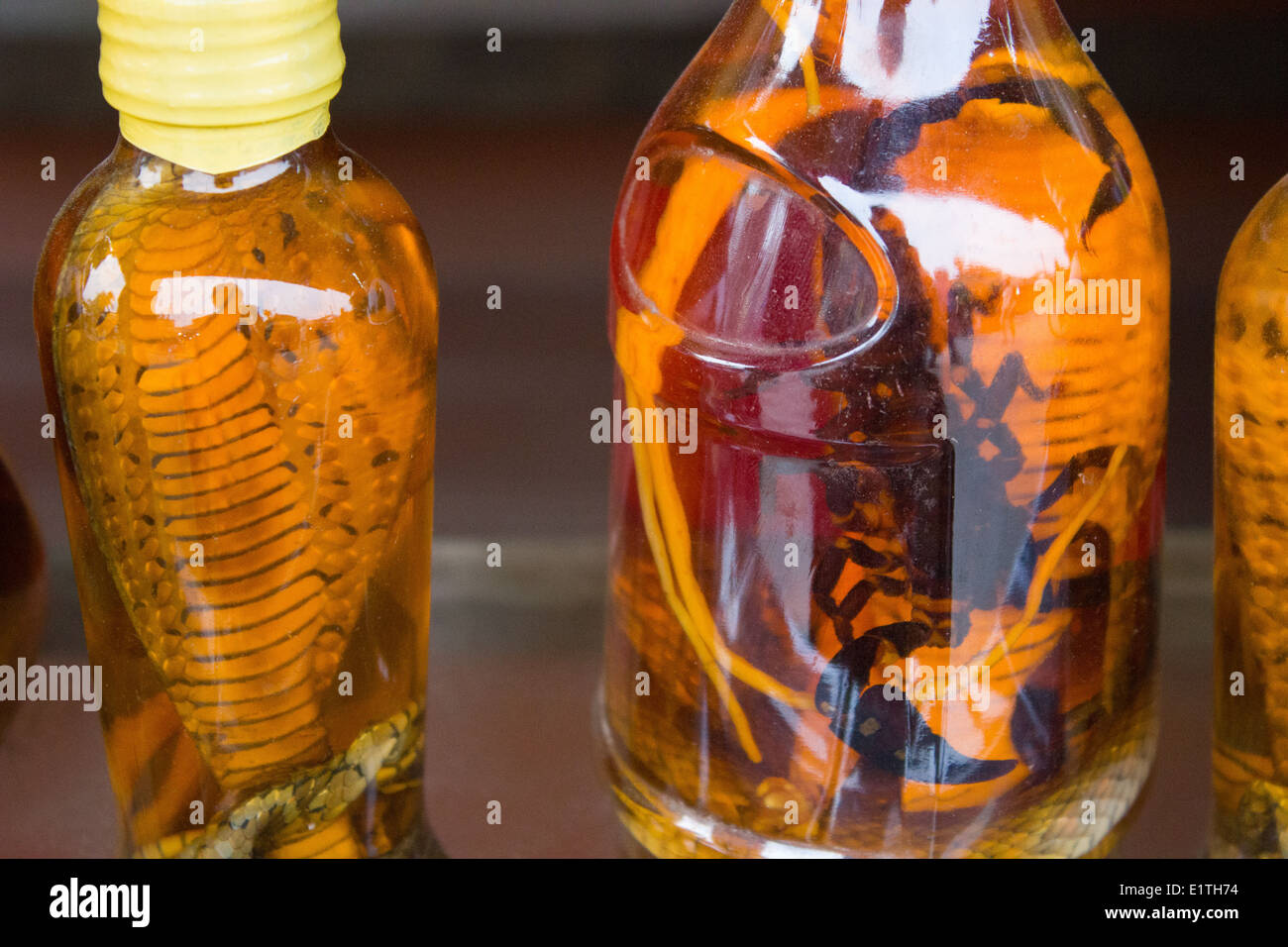 Bottles of scorpion wine and snake wine in Hoi An, one of the most ...