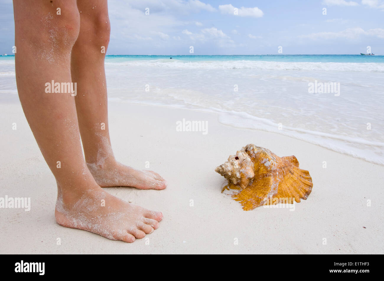 Snails leg hi-res stock photography and images - Alamy