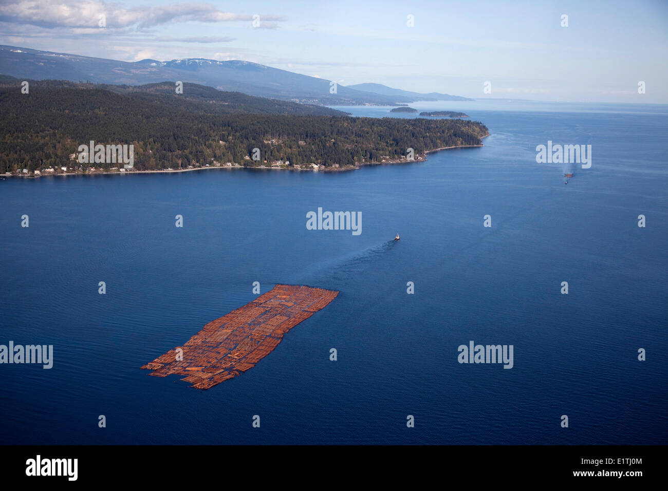 Tug and Log Boom off Halfmoon Bay, Sunshine Coast, Sechelt Peninsula ...