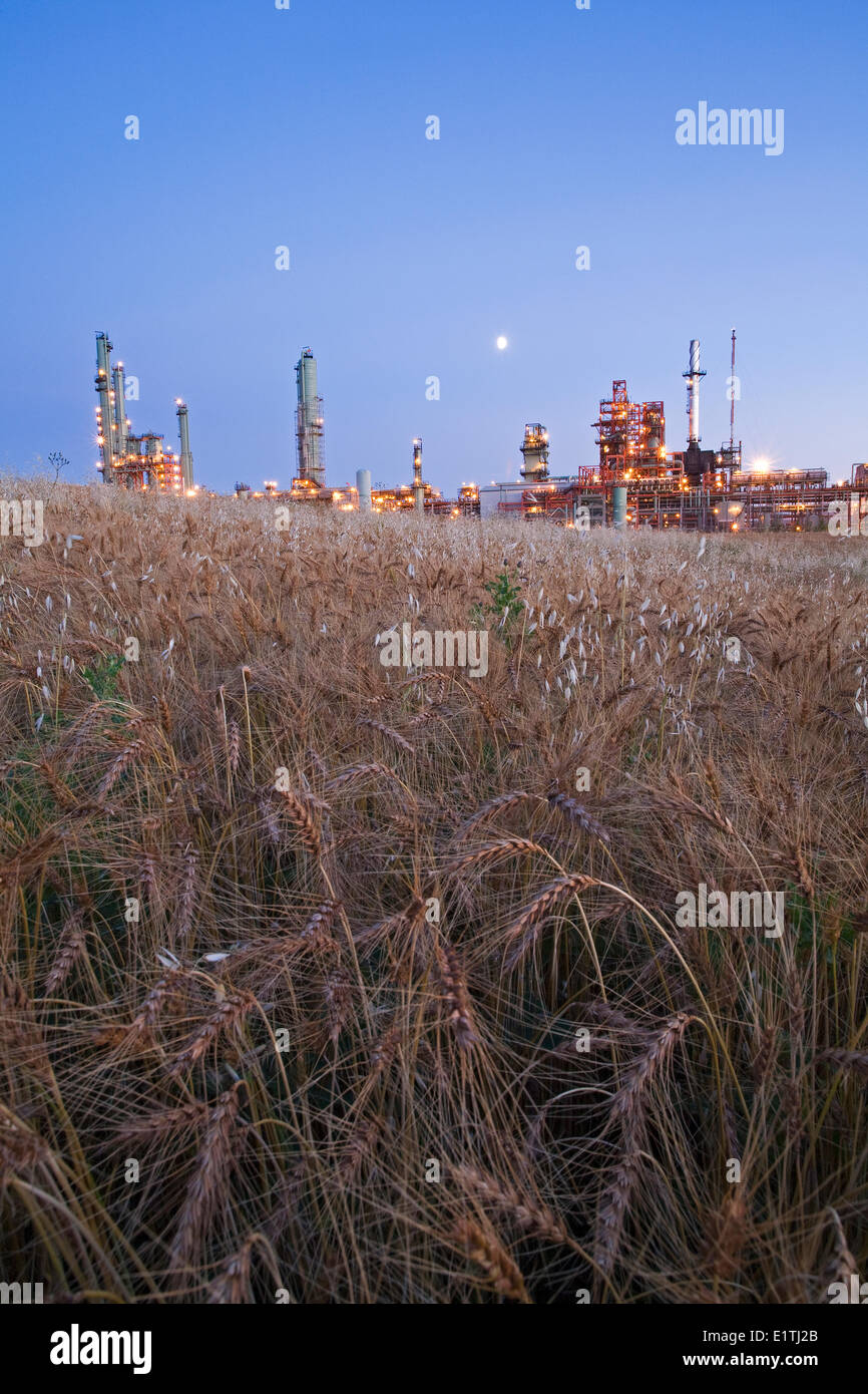 Canada oil refinery hi-res stock photography and images - Alamy