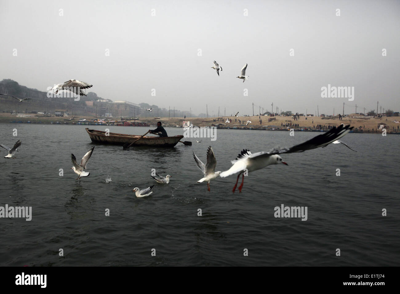 Sacred union of the rivers Ganges, Yamuna and Saraswati in Allahabad ...