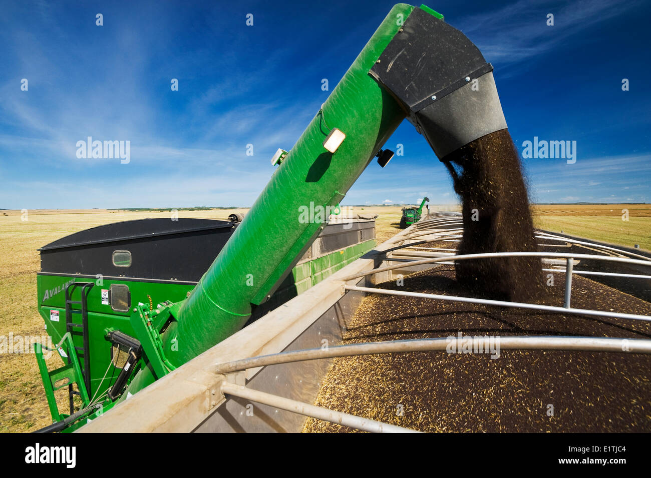 Truck Unloading Grain Stock Photos & Truck Unloading Grain Stock Images ...