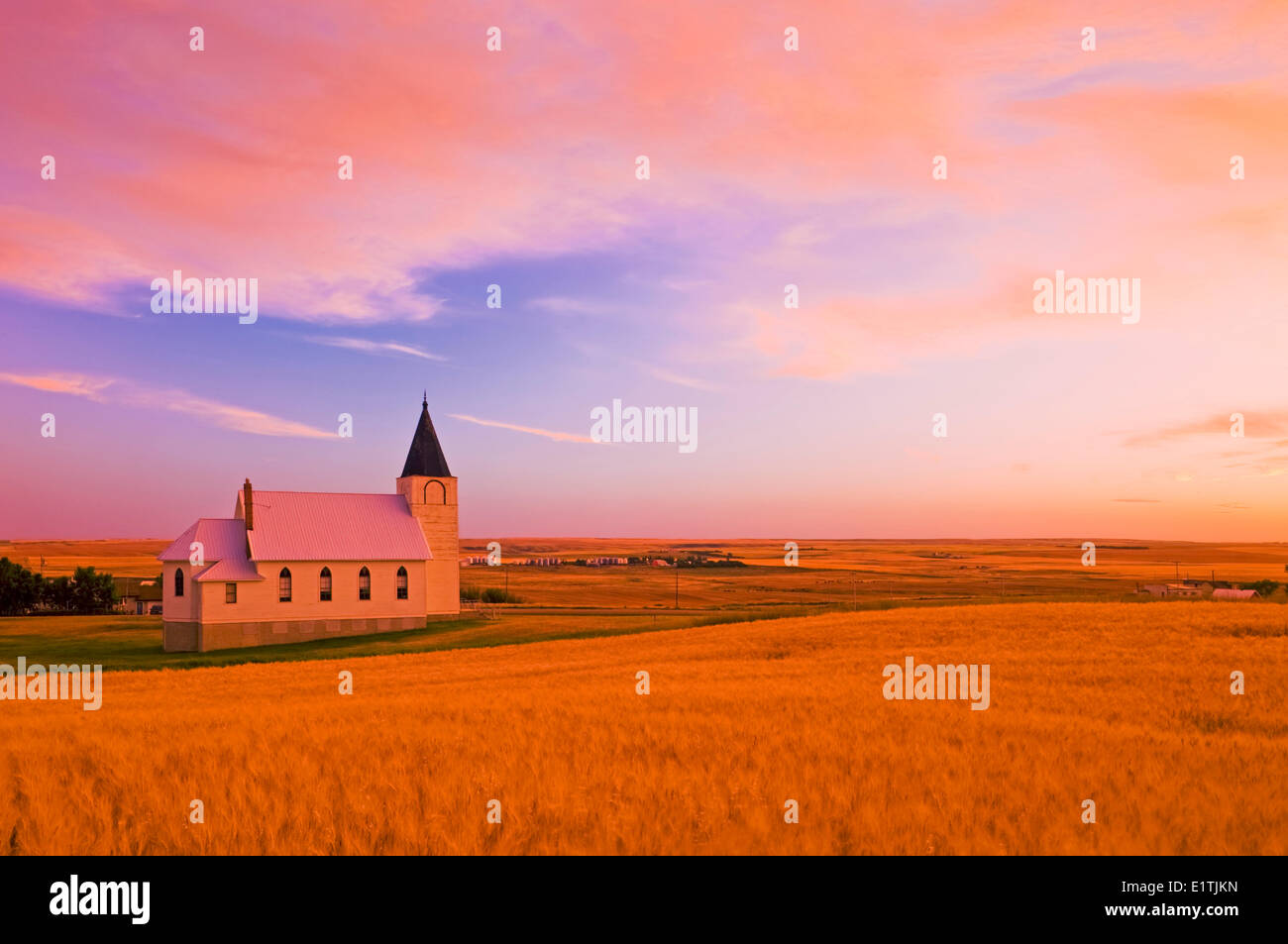 mature, harvest ready wheat field with church in the background ...