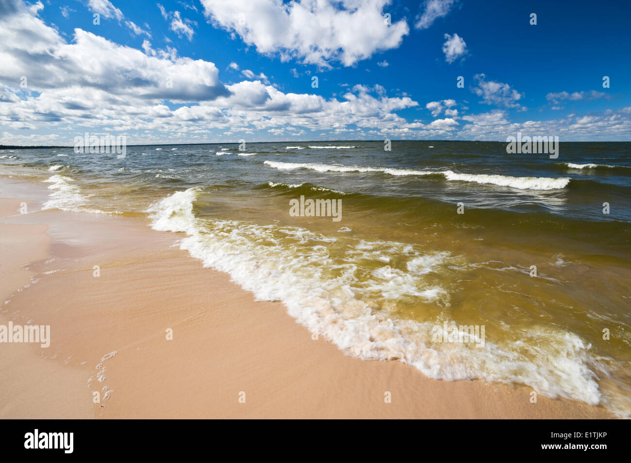 Buffalo beach hi-res stock photography and images - Alamy