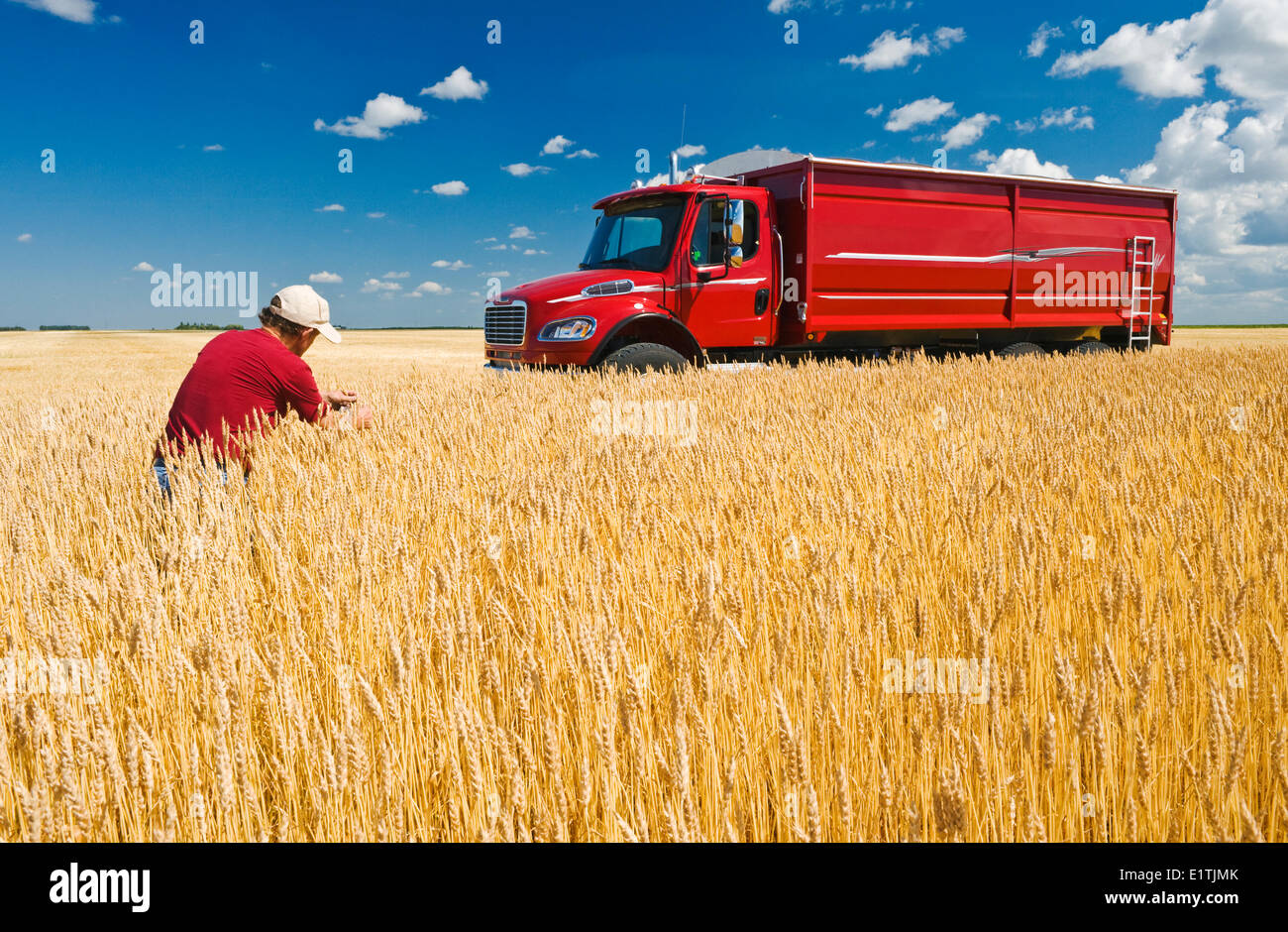 White man truck hi-res stock photography and images - Alamy