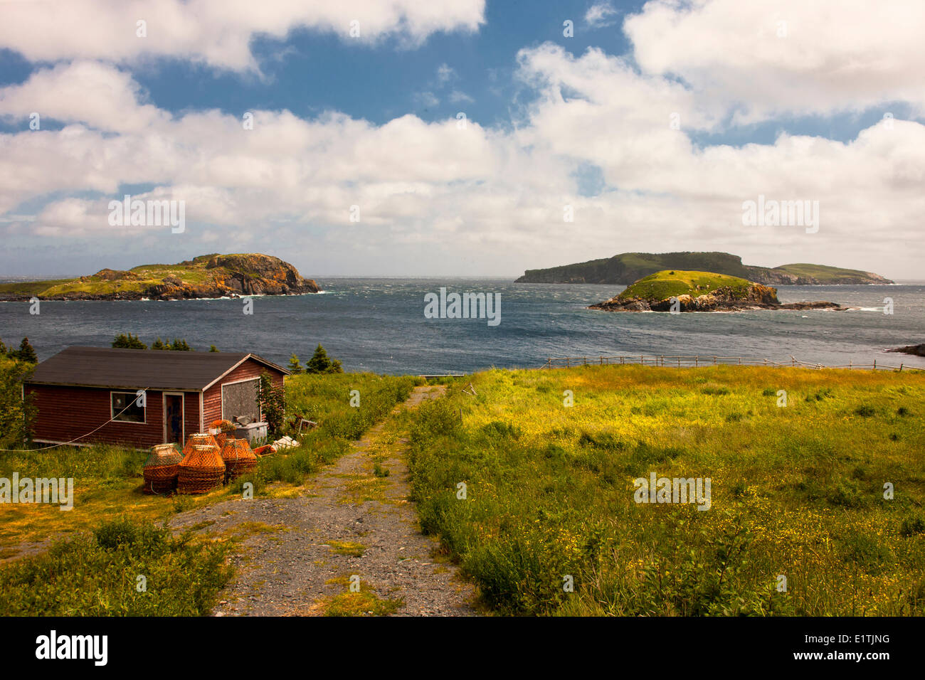 Pee Pee Island, Ship Island and Great Island, Witless Bay Ecological ...