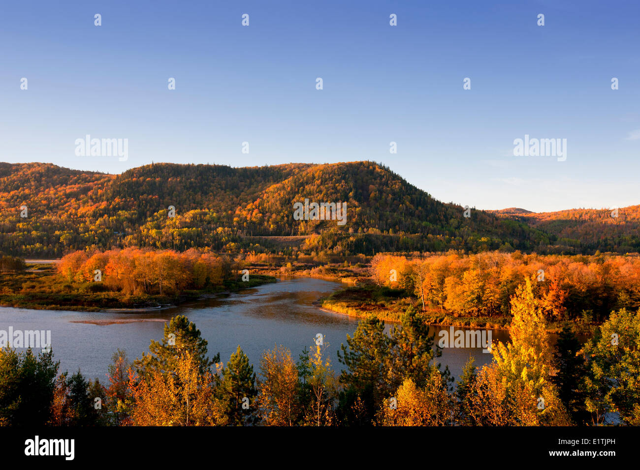 The Restigouche River in Fall, Quebec, Canada Stock Photo - Alamy
