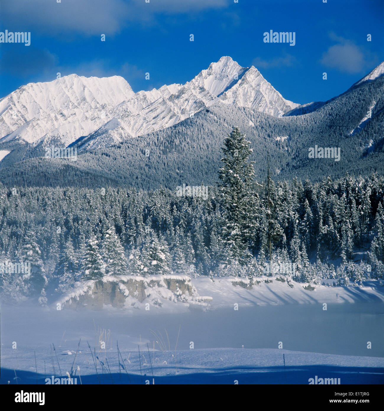 Frosty mist on kootenay river hi-res stock photography and images - Alamy