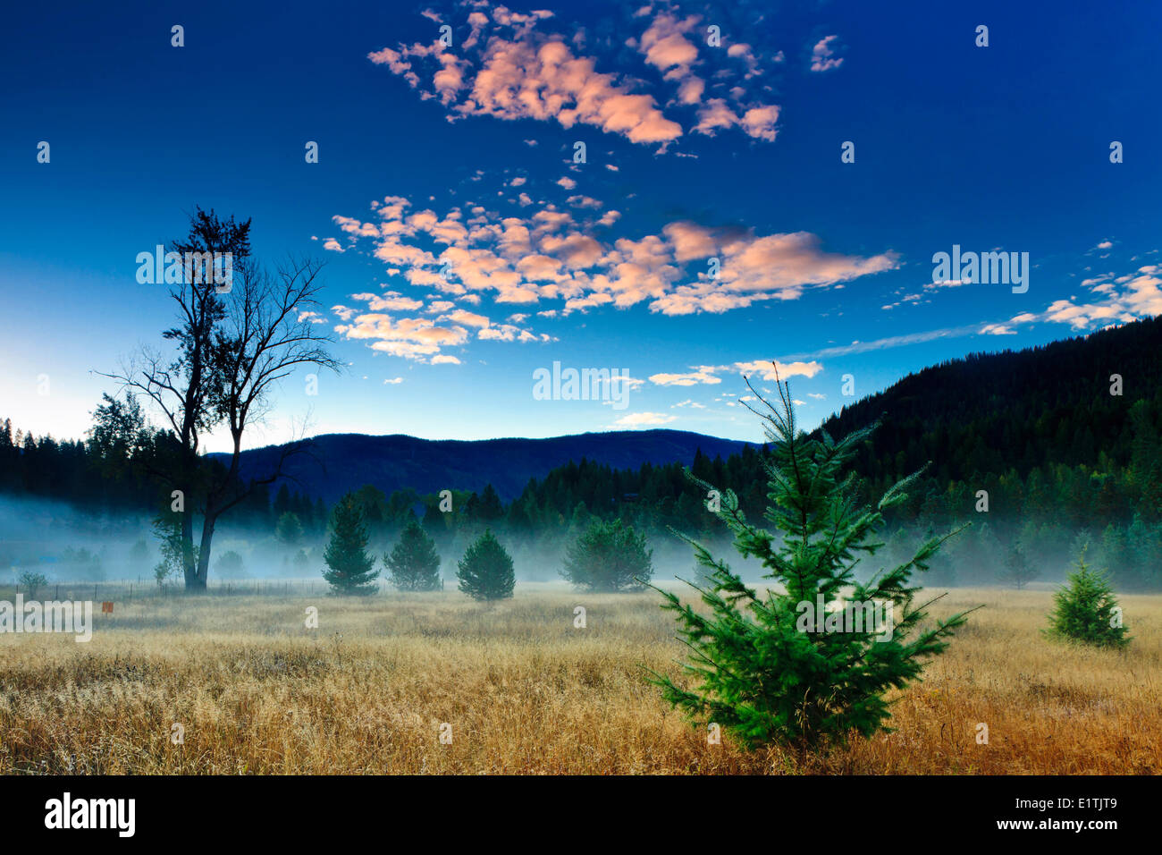 Sunrise above a misty field in Crescent Valley, British Columbia Stock ...