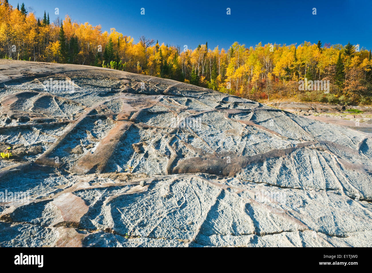 autumn, precambrian rock along the Winnipeg River, near Seven Sisters ...