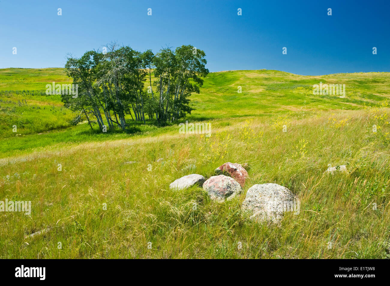 Non current hi-res stock photography and images - Alamy