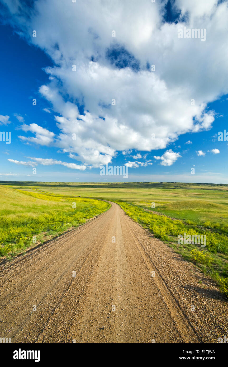 Dirt road through prairie hi-res stock photography and images - Alamy