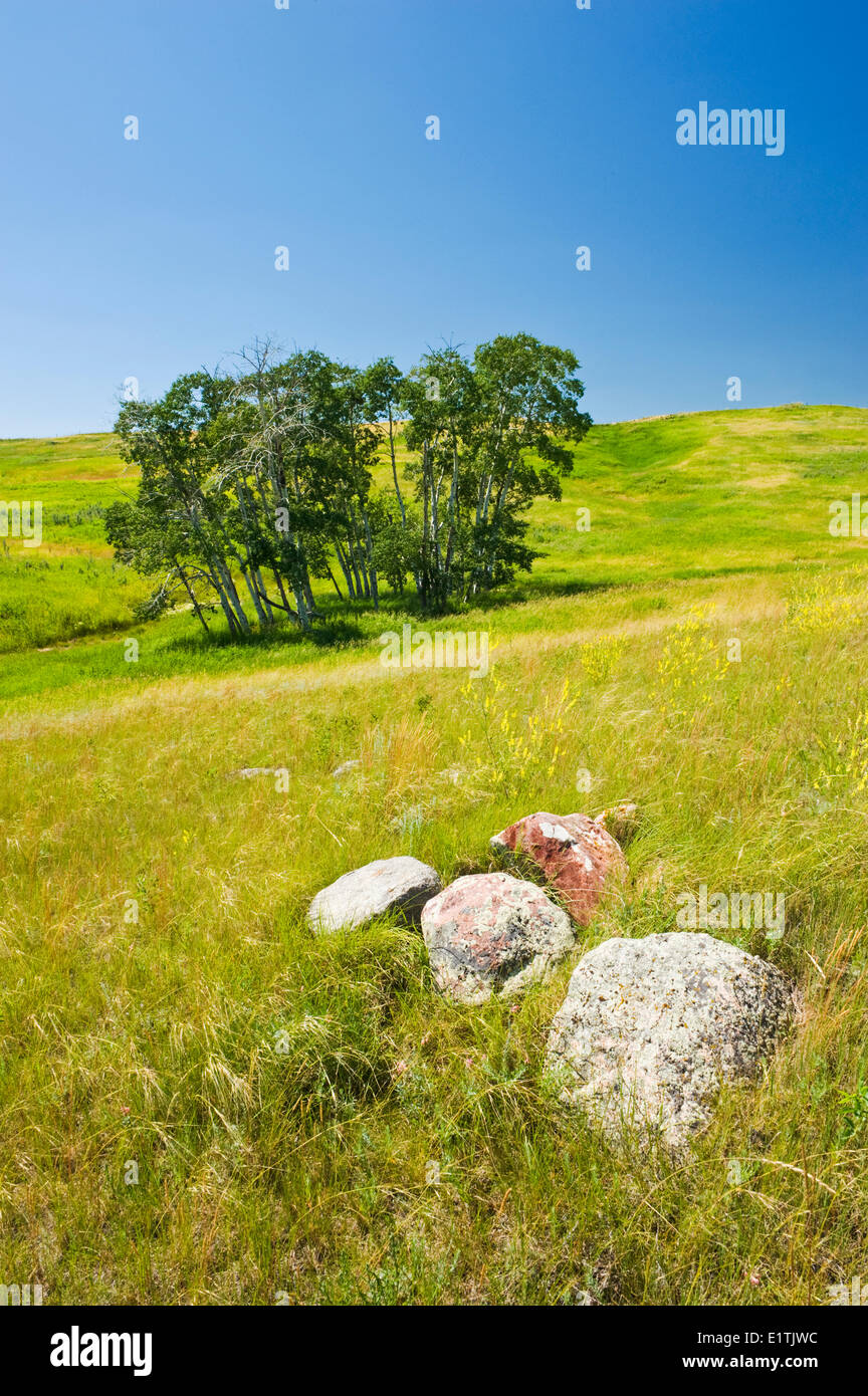 near Swift Current, Saskatchewan, Canada Stock Photo - Alamy