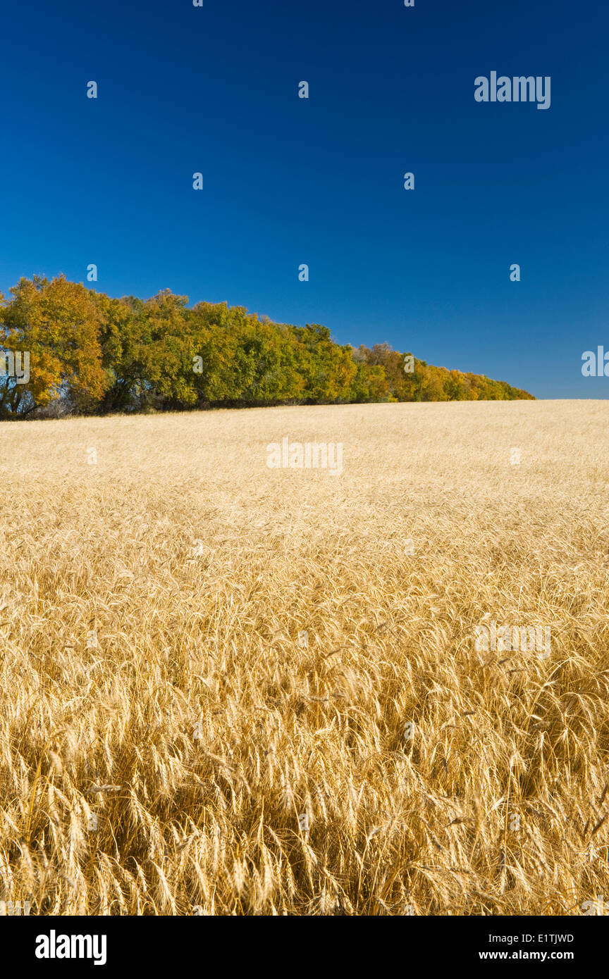 Central background hi-res stock photography and images - Alamy