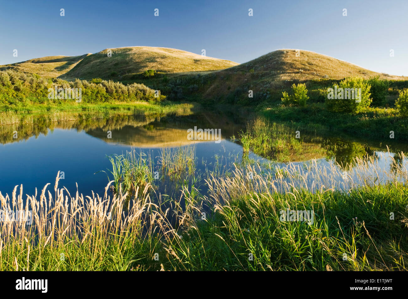 Saskatchewan landing provincial park hi-res stock photography and ...