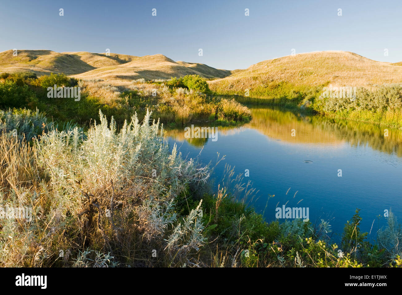 Saskatchewan landing provincial park hi-res stock photography and ...