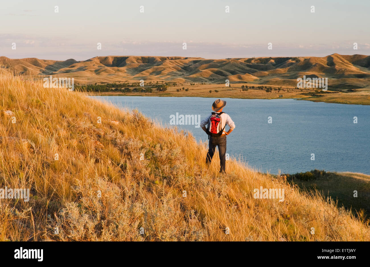 Saskatchewan landing provincial park hi-res stock photography and ...