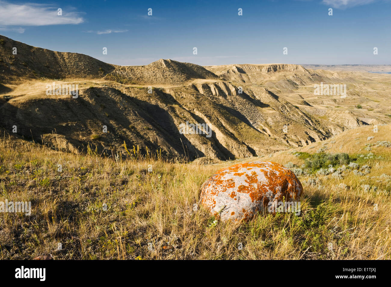 Dave reede hi-res stock photography and images - Alamy