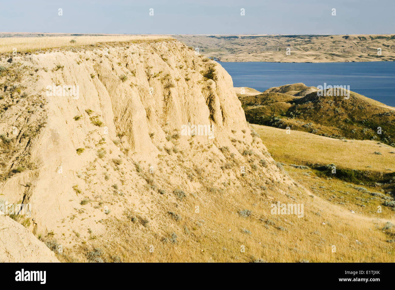 South Saskatchewan River Valley with Lake Diefenbaker in the background ...