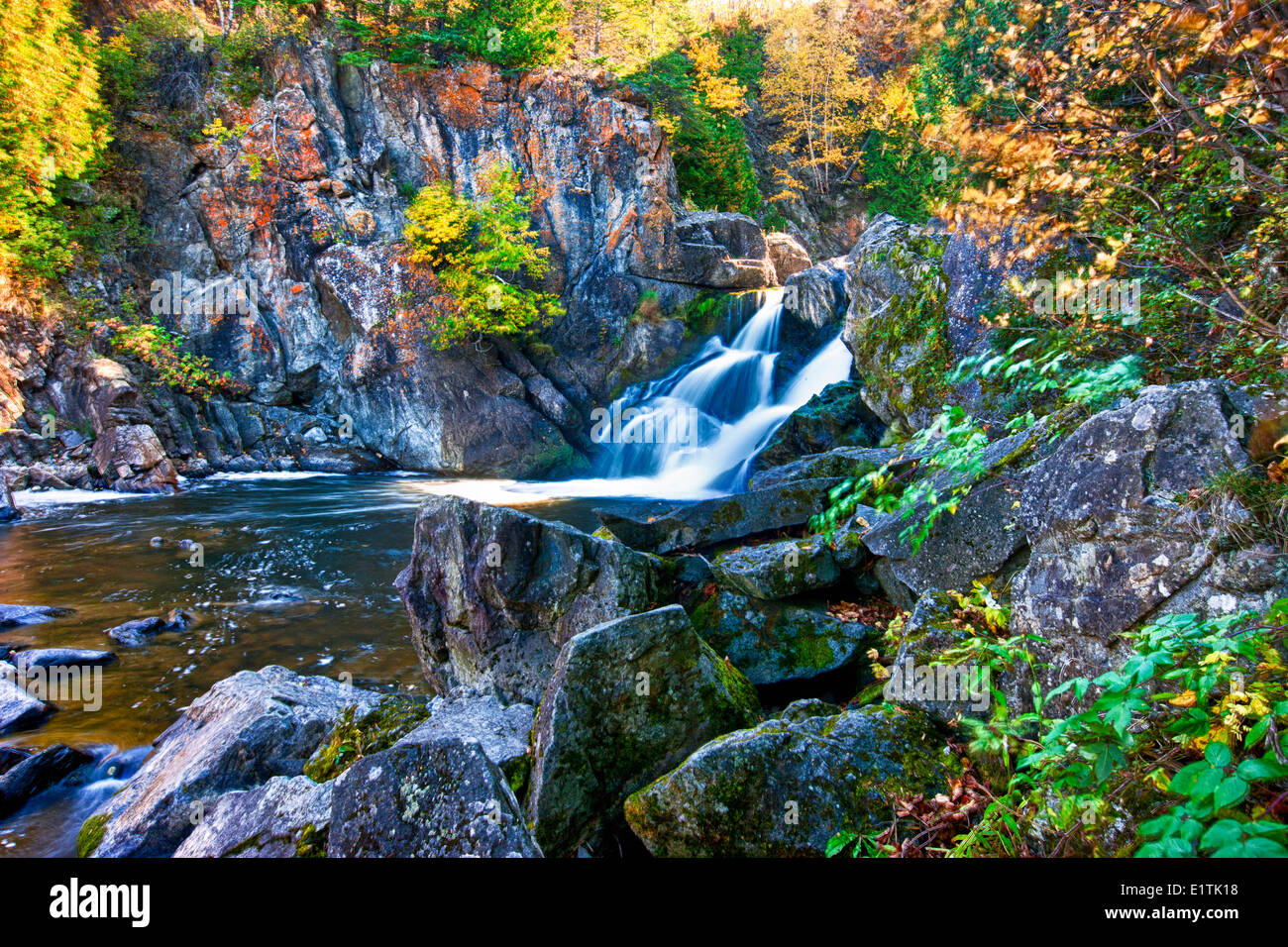 Quebec tree rivers hi-res stock photography and images - Alamy
