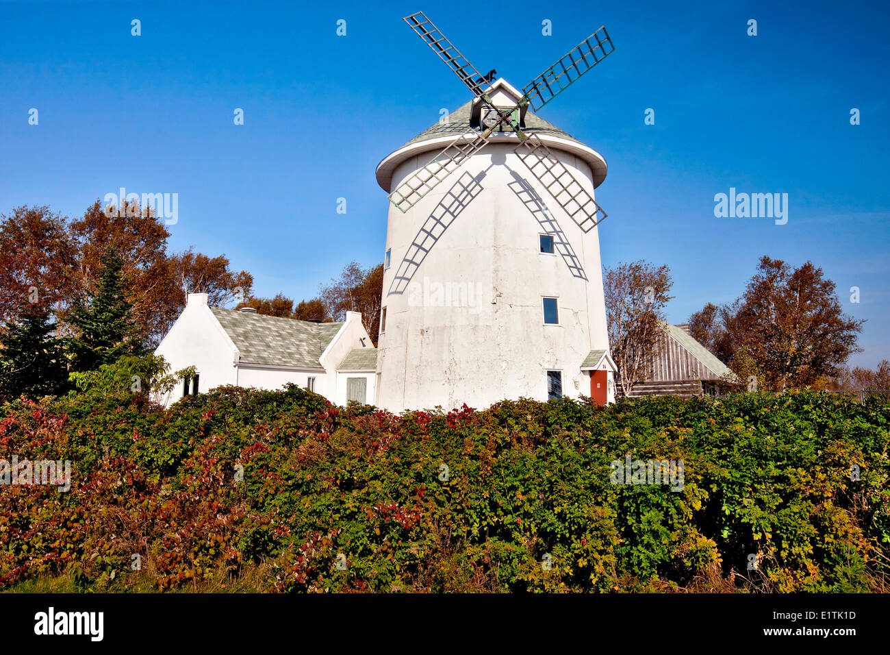 Fabien hi-res stock photography and images - Alamy