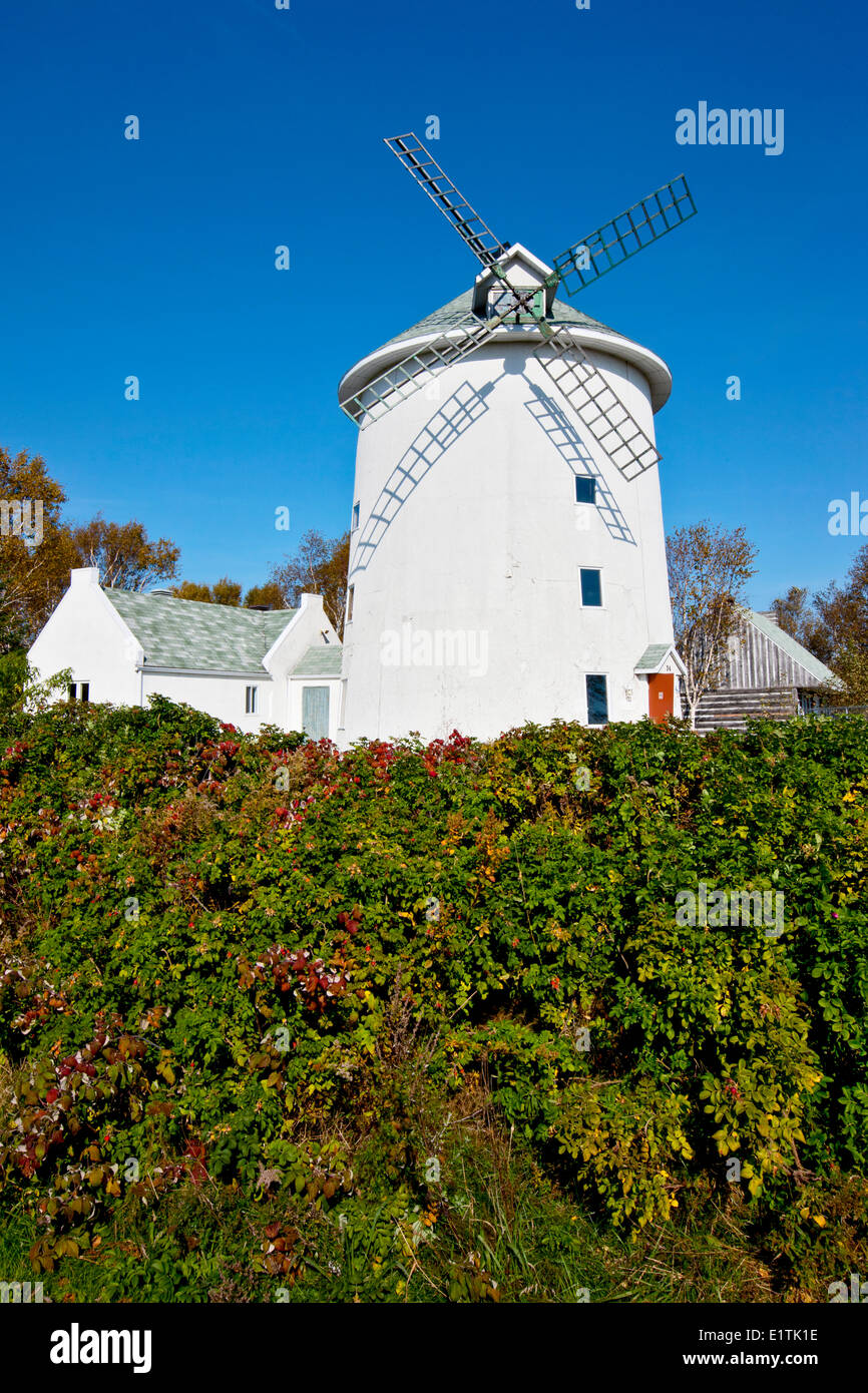 Fabien High Resolution Stock Photography and Images - Alamy