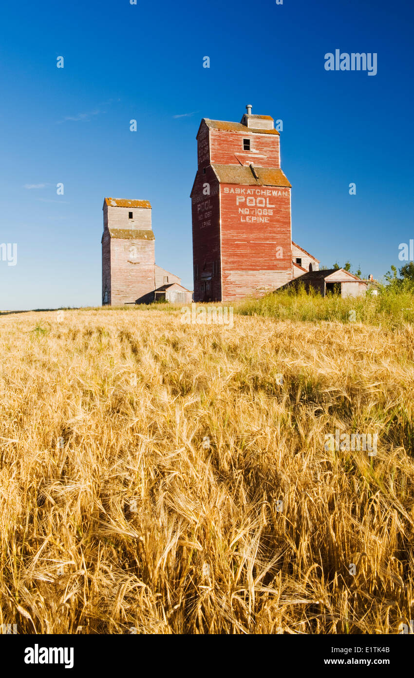 Barley field and grain elevators hi-res stock photography and images ...