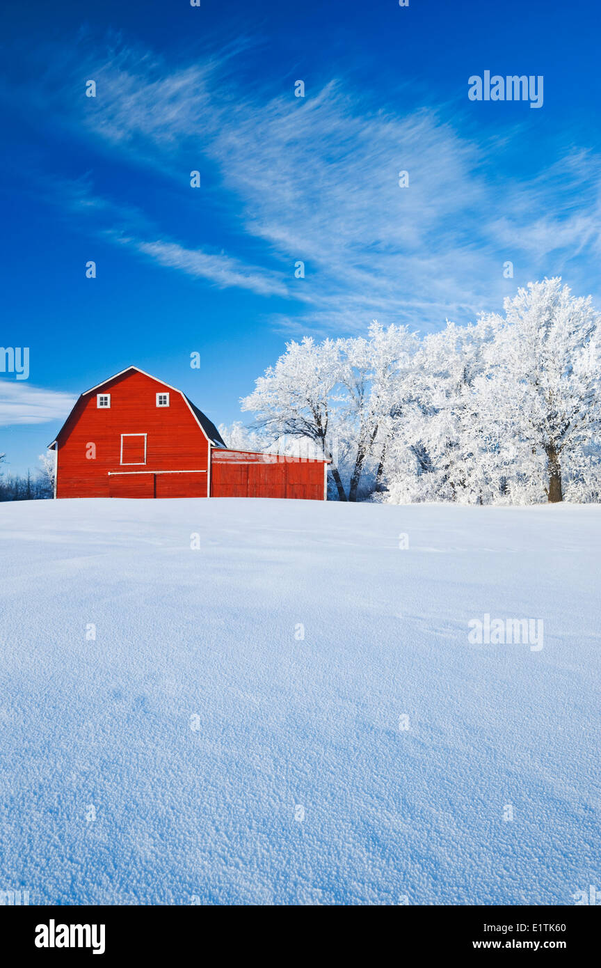 Barn With Trees High Resolution Stock Photography and Images - Alamy