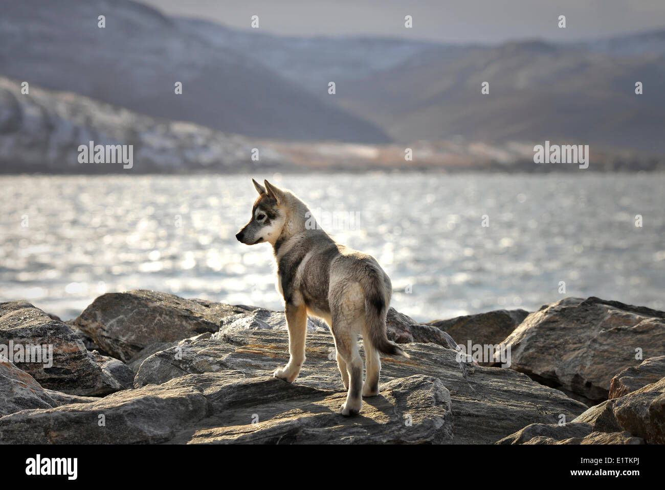 Wakeham High Resolution Stock Photography and Images - Alamy