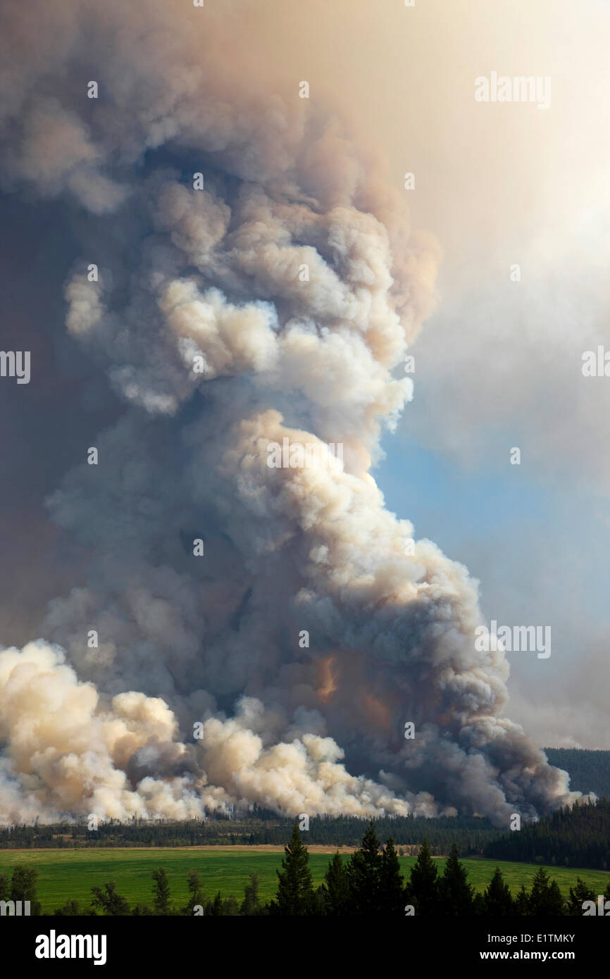 Bc forest fires hi-res stock photography and images - Alamy