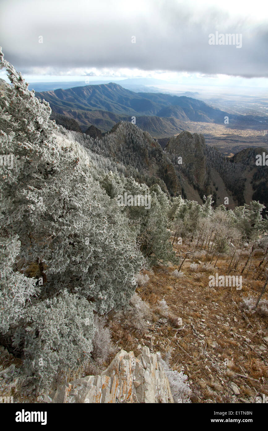 Sandia Crest, Albuquerque, New Mexico, USA Stock Photo - Alamy