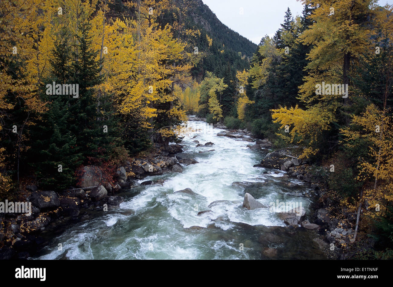 Cayoosh creek hi-res stock photography and images - Alamy