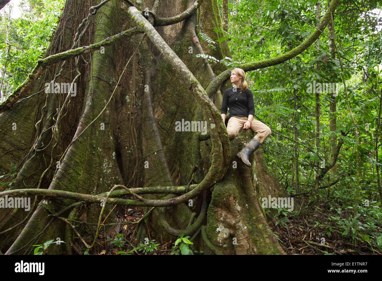 Amazon vines hi-res stock photography and images - Alamy