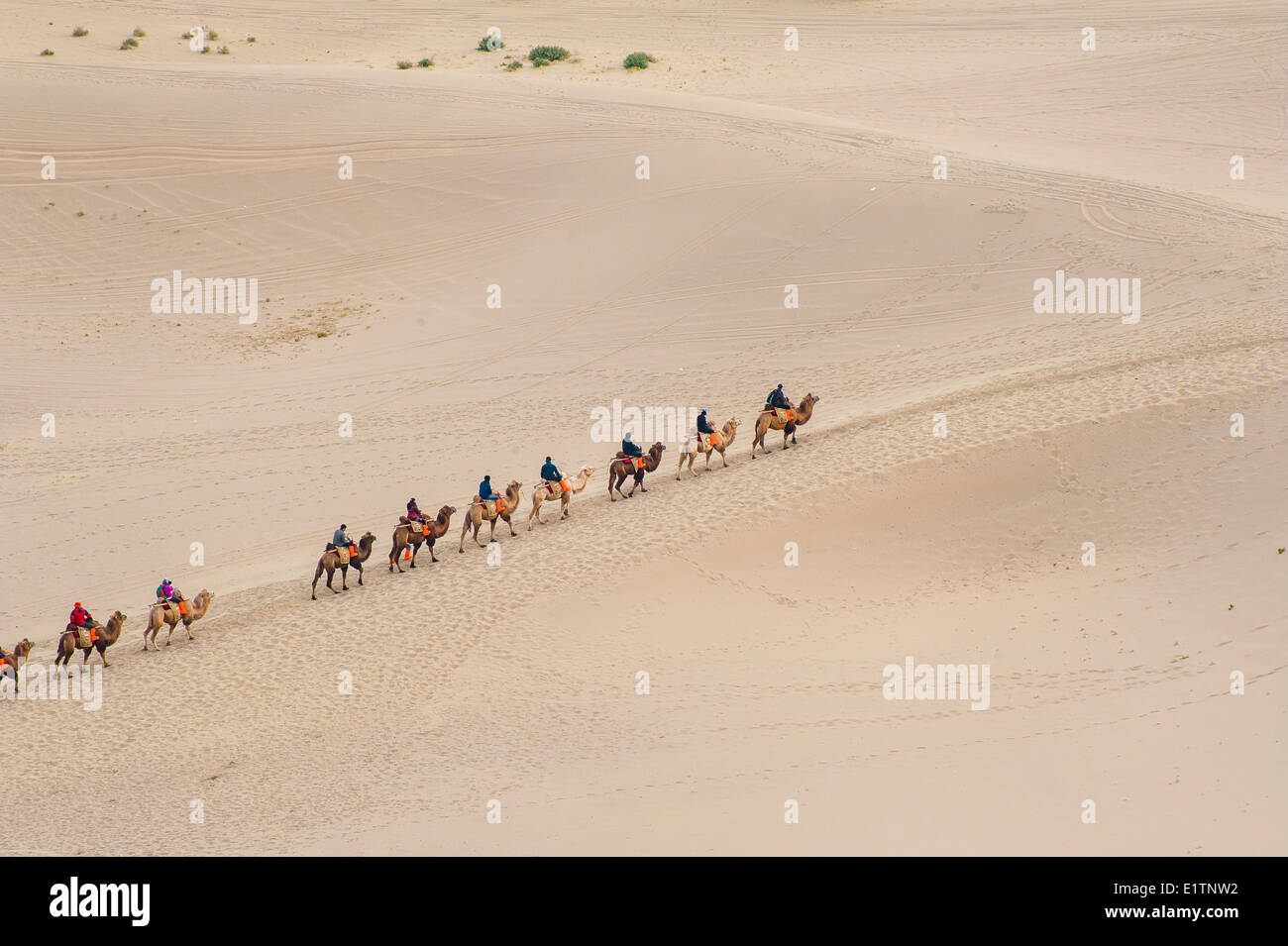 A group of riding camel tourists walking in the desert, Dunhuang of ...