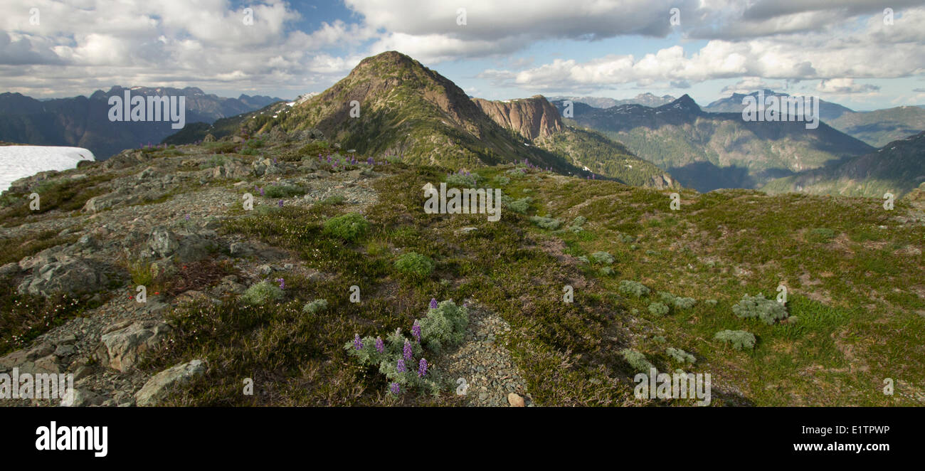Strathcona provincial park hi-res stock photography and images - Alamy