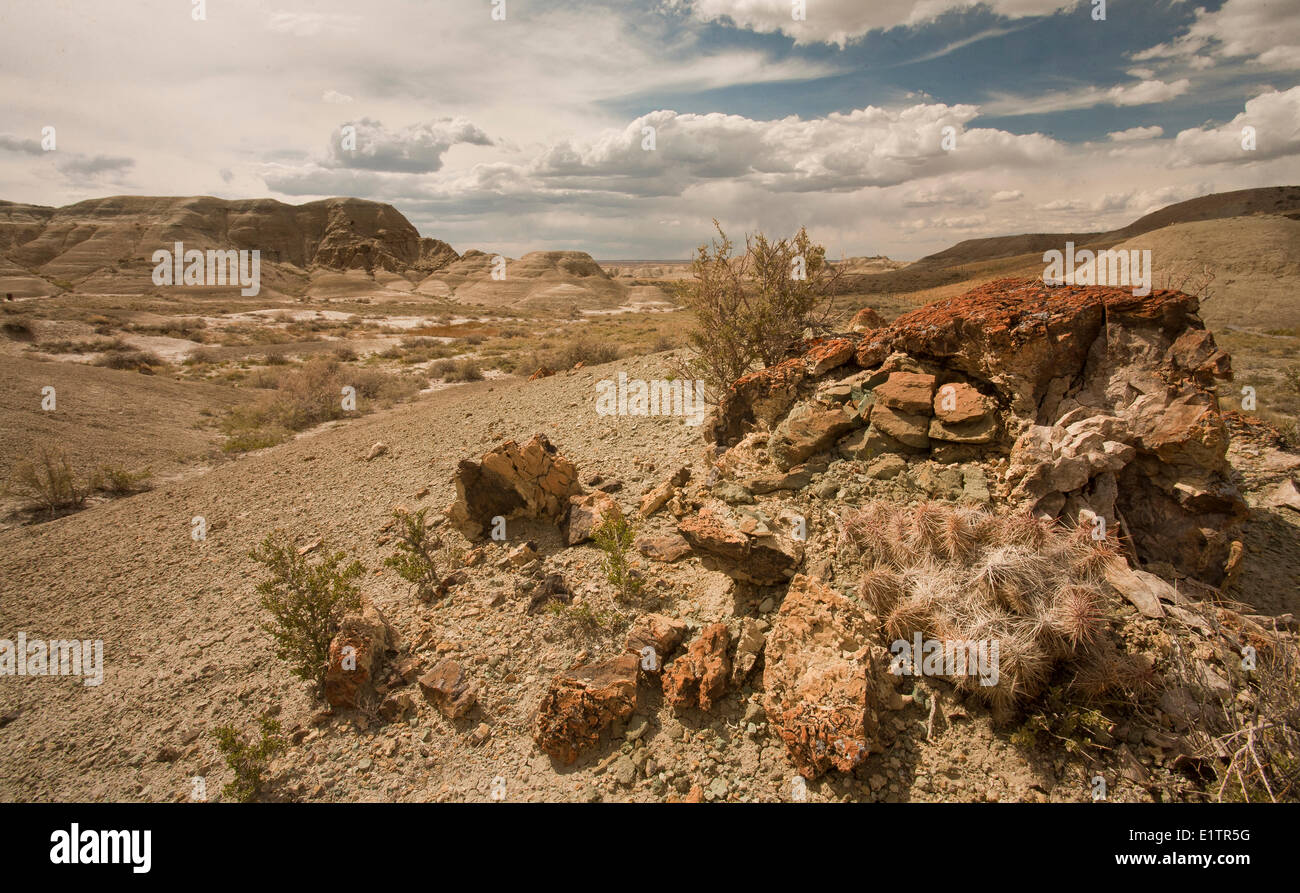 Scenics montana usa hi-res stock photography and images - Alamy