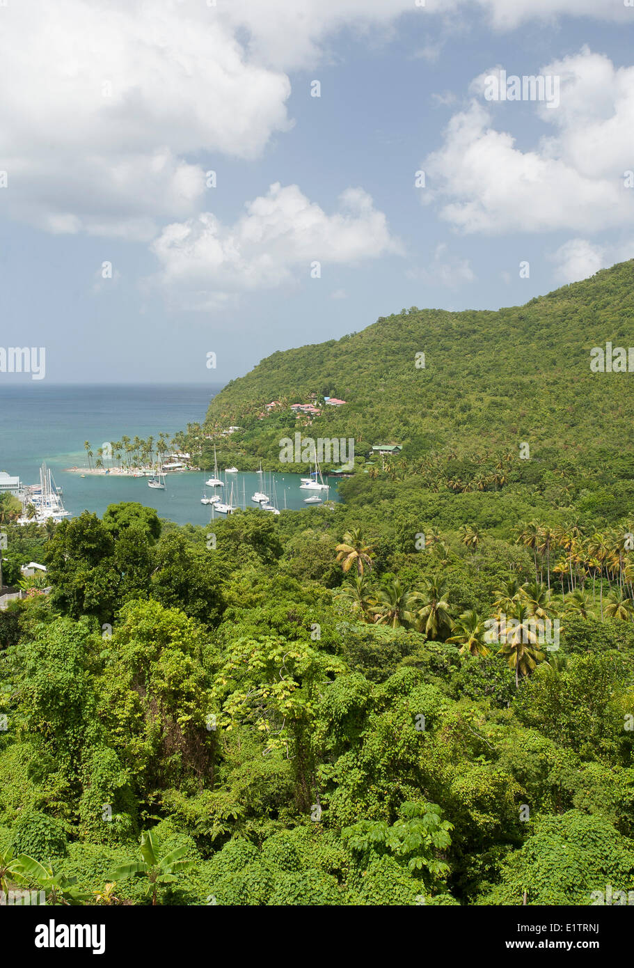 St lucia rainforest hi-res stock photography and images - Alamy