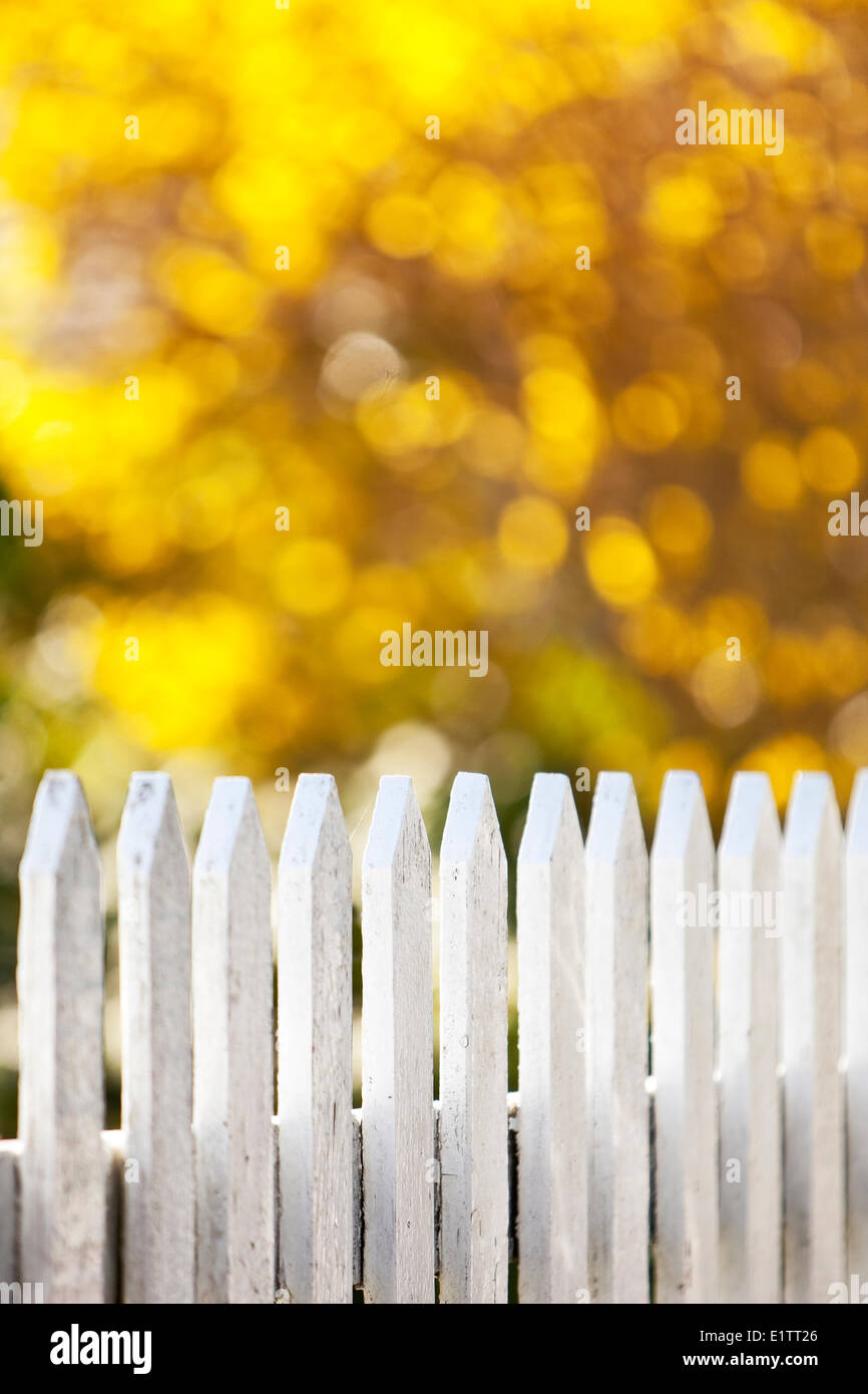 White picket fence in early hi-res stock photography and images - Alamy