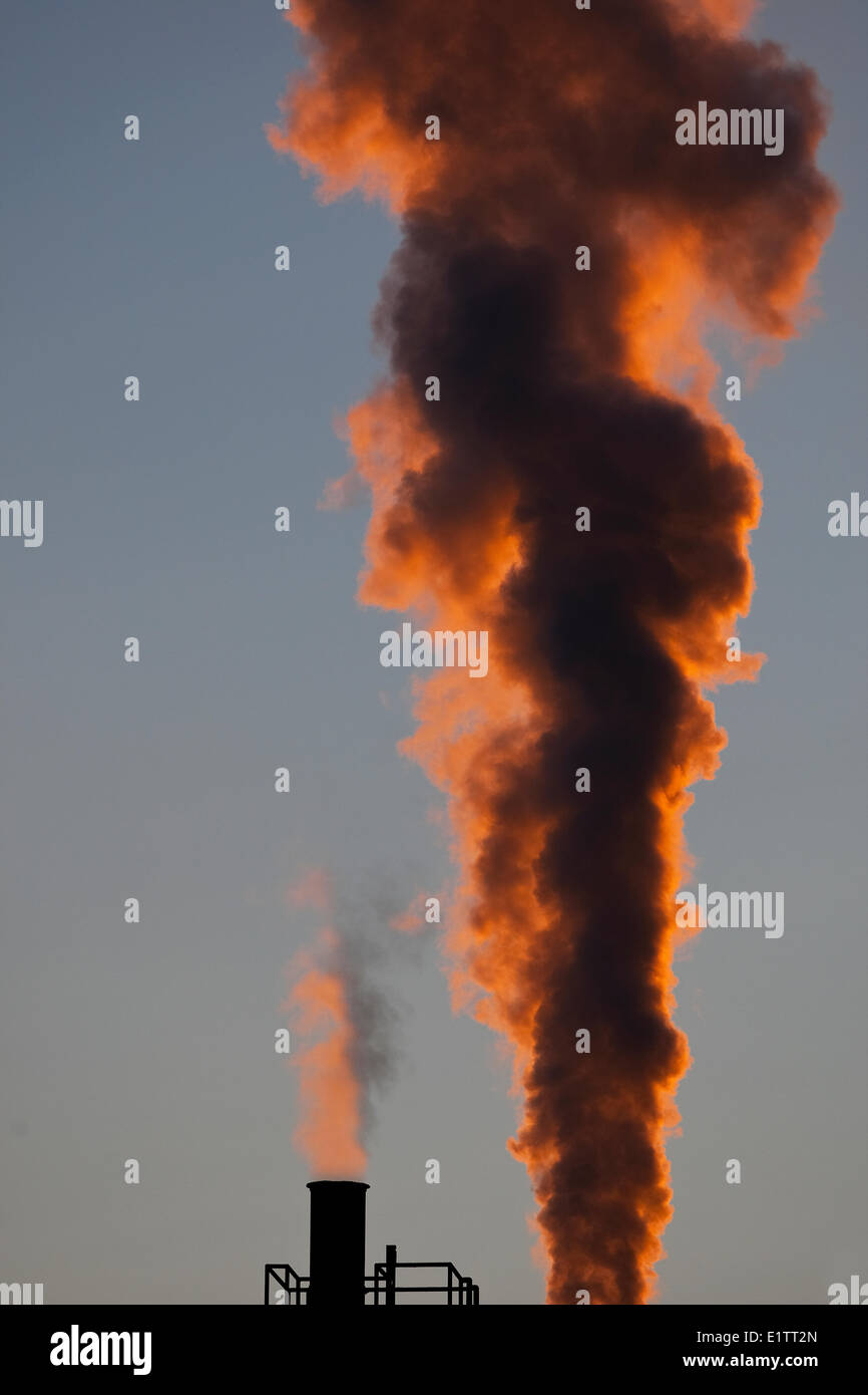 Pulp mill pollution hi-res stock photography and images - Alamy