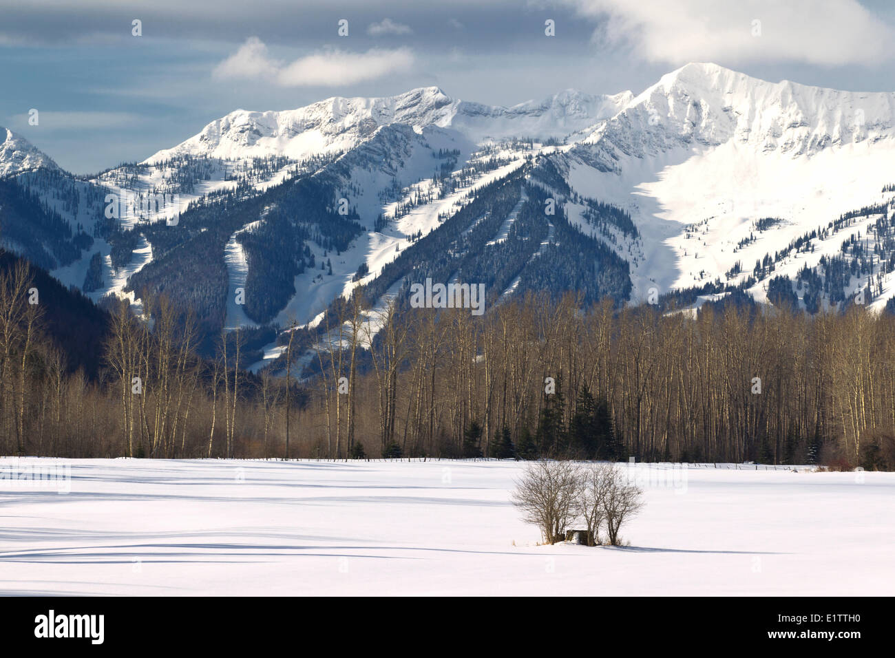 Fernie, British Columbia, Alberta, Canada Stock Photo - Alamy