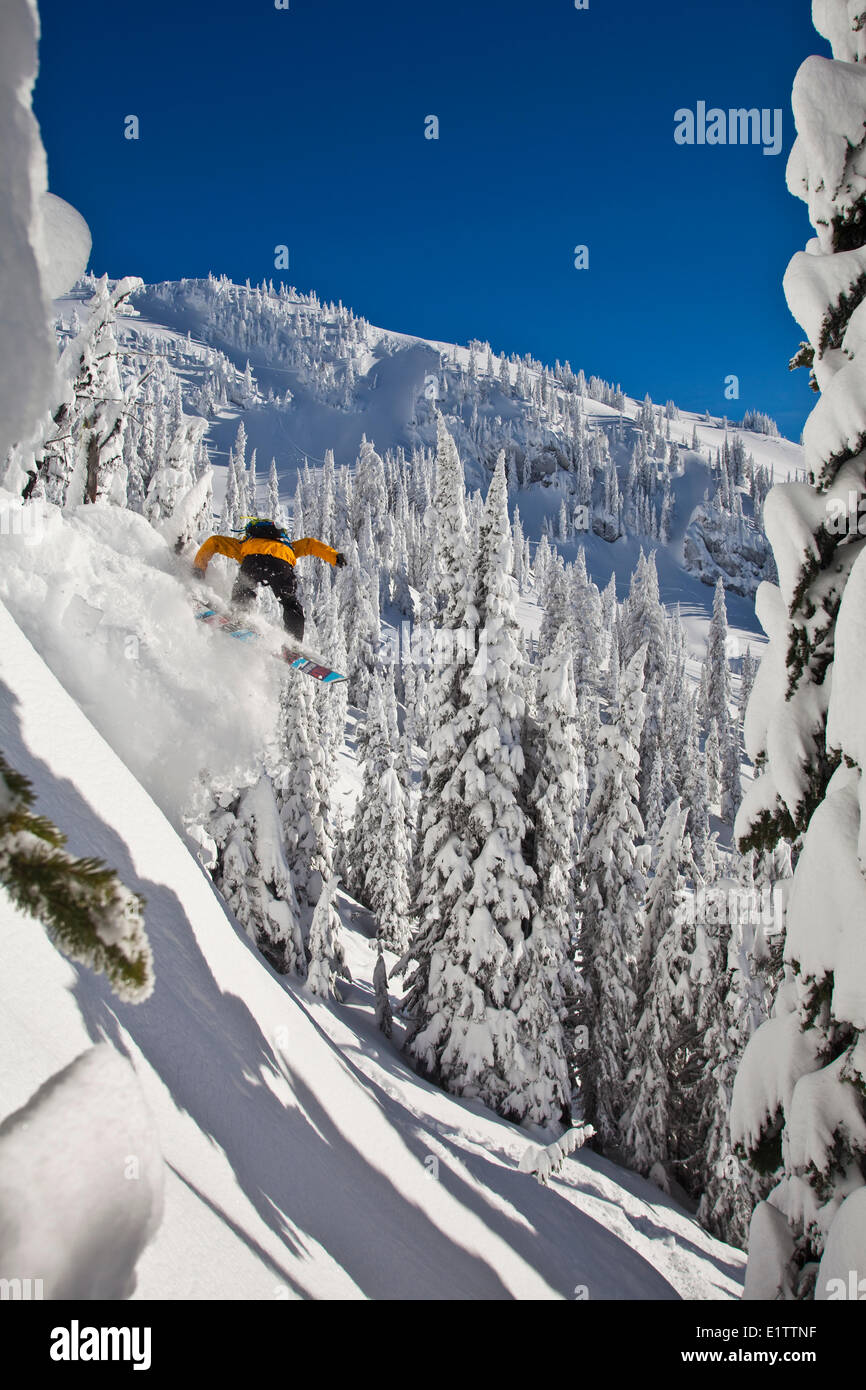 A male snowboarder catches some off a cliff in the Revelstoke Mountain ...