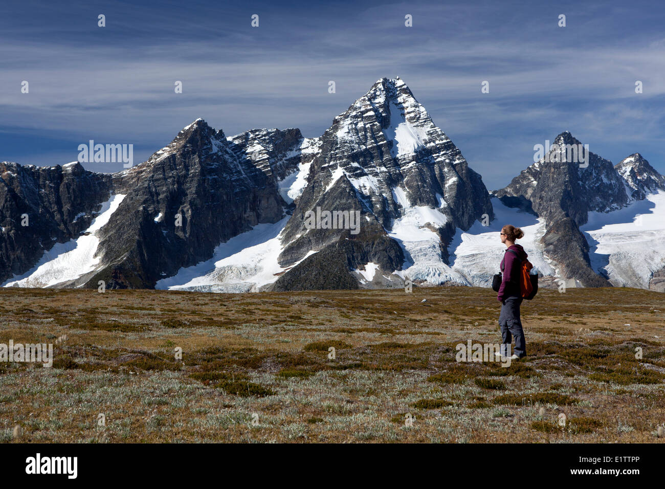 Hiker in the meadows below Bald Mountain opposite Mount Sir Donald ...