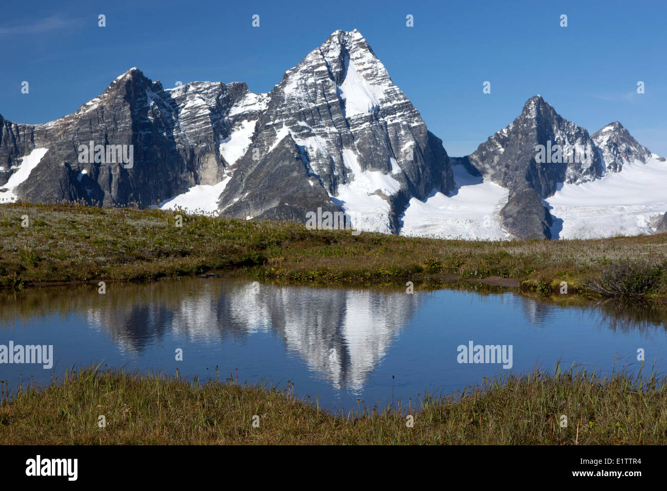 Mount Sir Donald Reflected in an Alpine Tarn, Selkirk Mountains ...