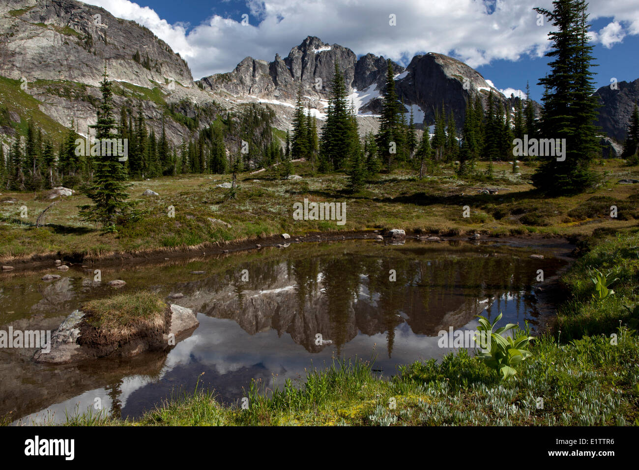 Drinnon Peak reflected in a tarn at Drinnon Pass, Selkirk Mountains ...