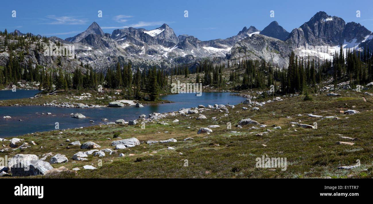 Gwillim Lakes, Selkirk Mountains, Valhalla Provincial Park, British ...